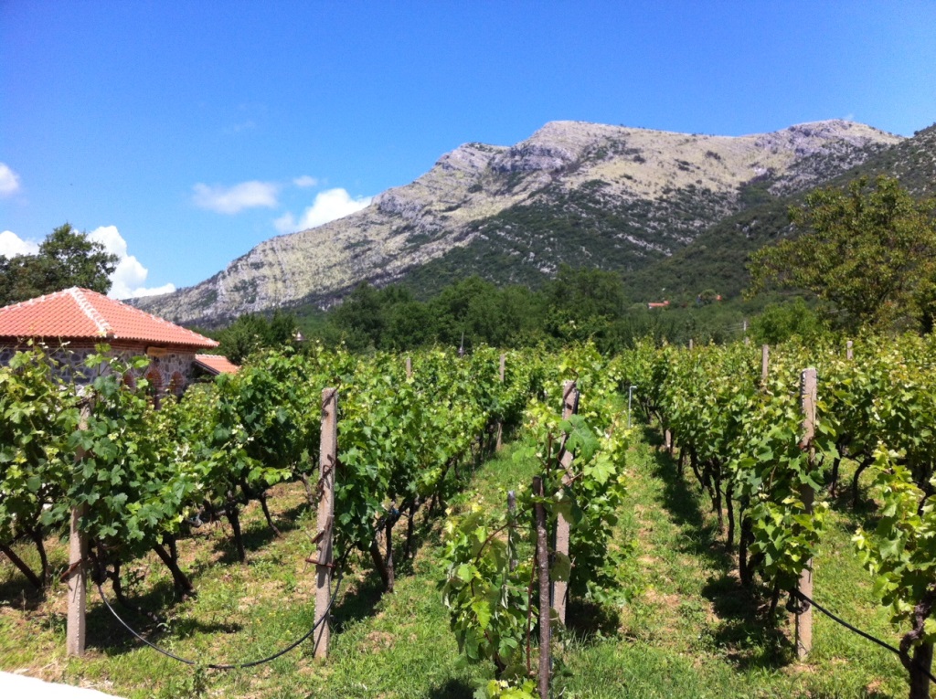 Trebinje – the wine capital of Republika Srpska - Sarajevo Times