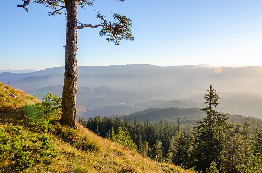 Romanija Mountain will be the first in Bosnia and Herzegovina to have ...